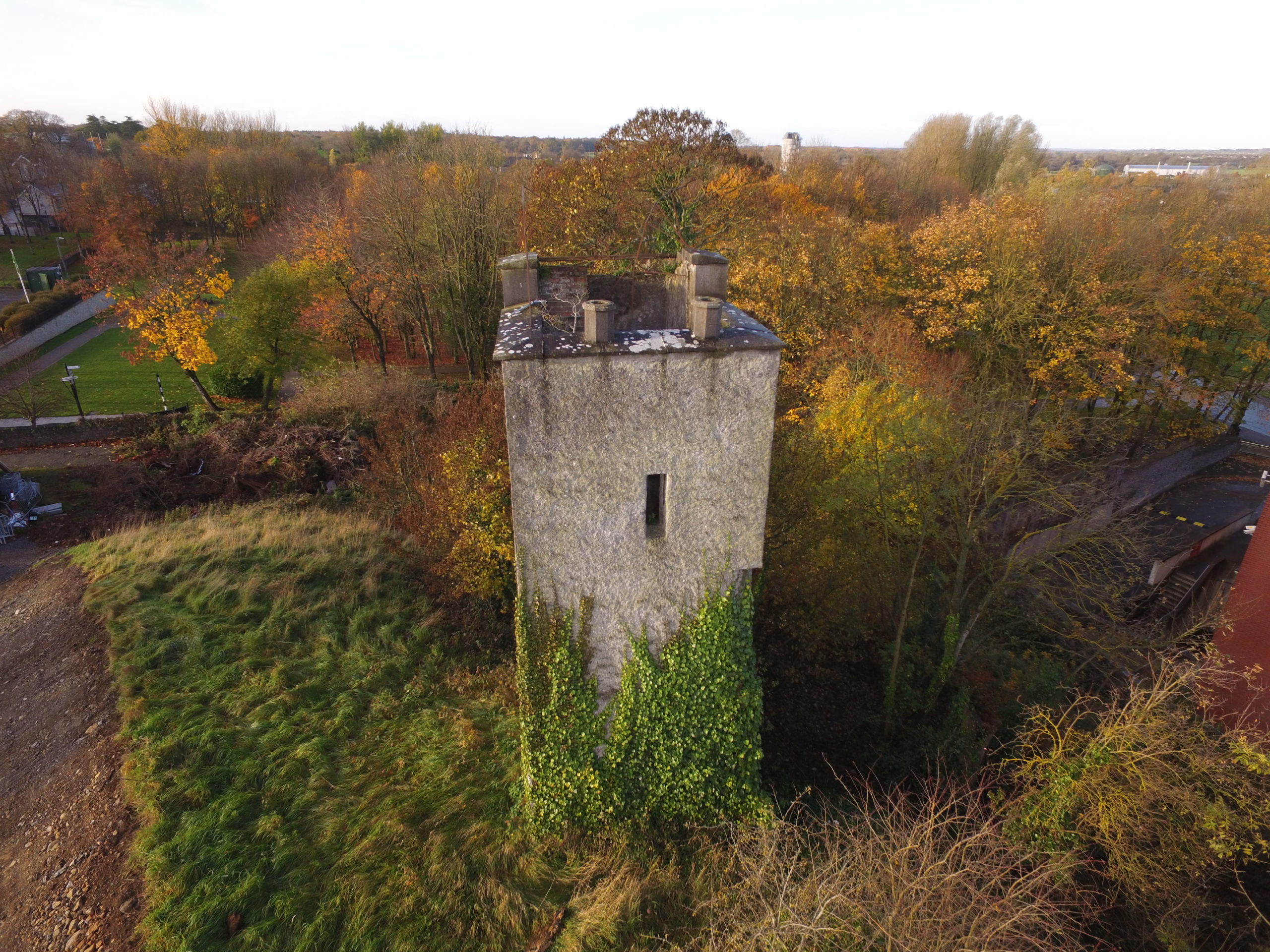 Follys of Offaly - Acres Hall - Creative Ireland Programme