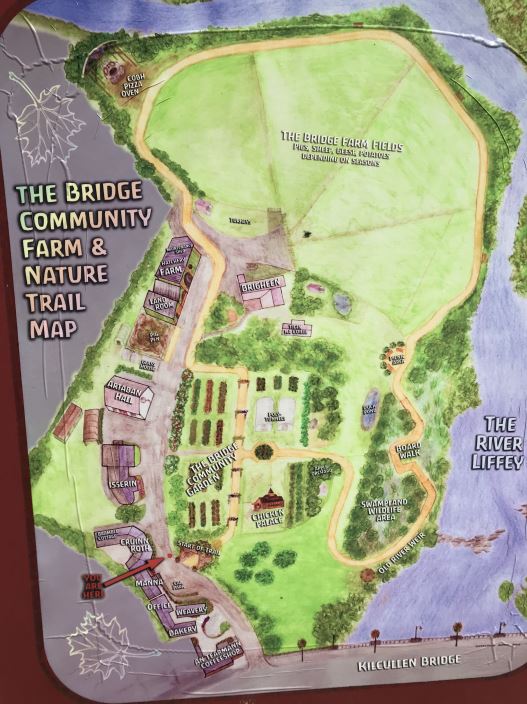 The Passion of Living - Creative Ireland Programme