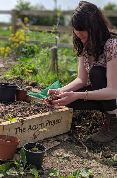 Kilkenny Acorn Project - Creative Ireland Programme
