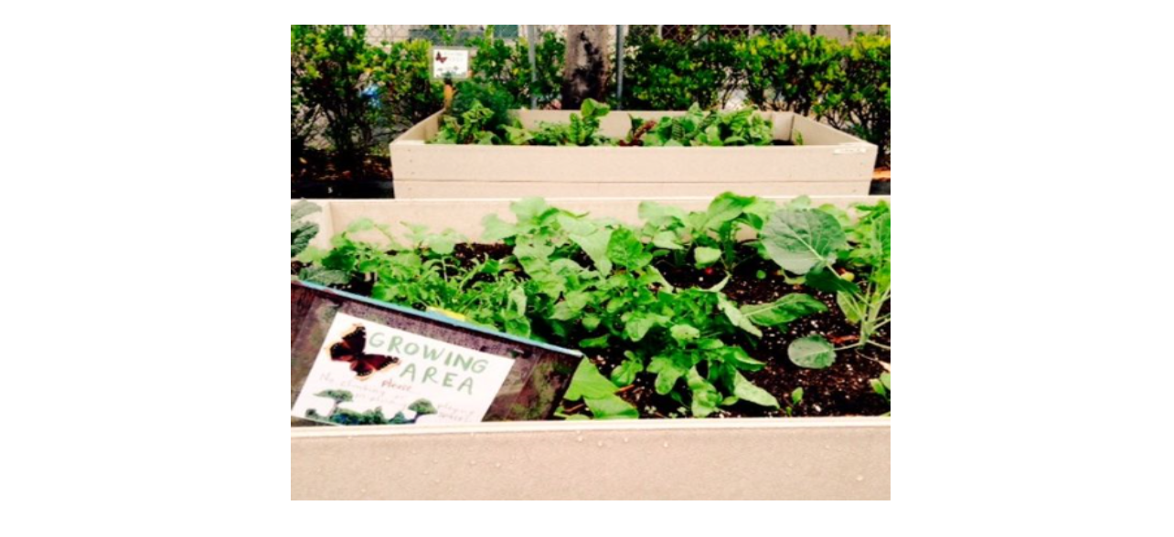 Series of virtual garden and nature-based educational sessions ...