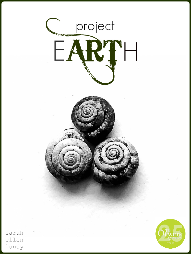 Project eARTh -The Hive-Bloomz and Bees - Creative Ireland Programme