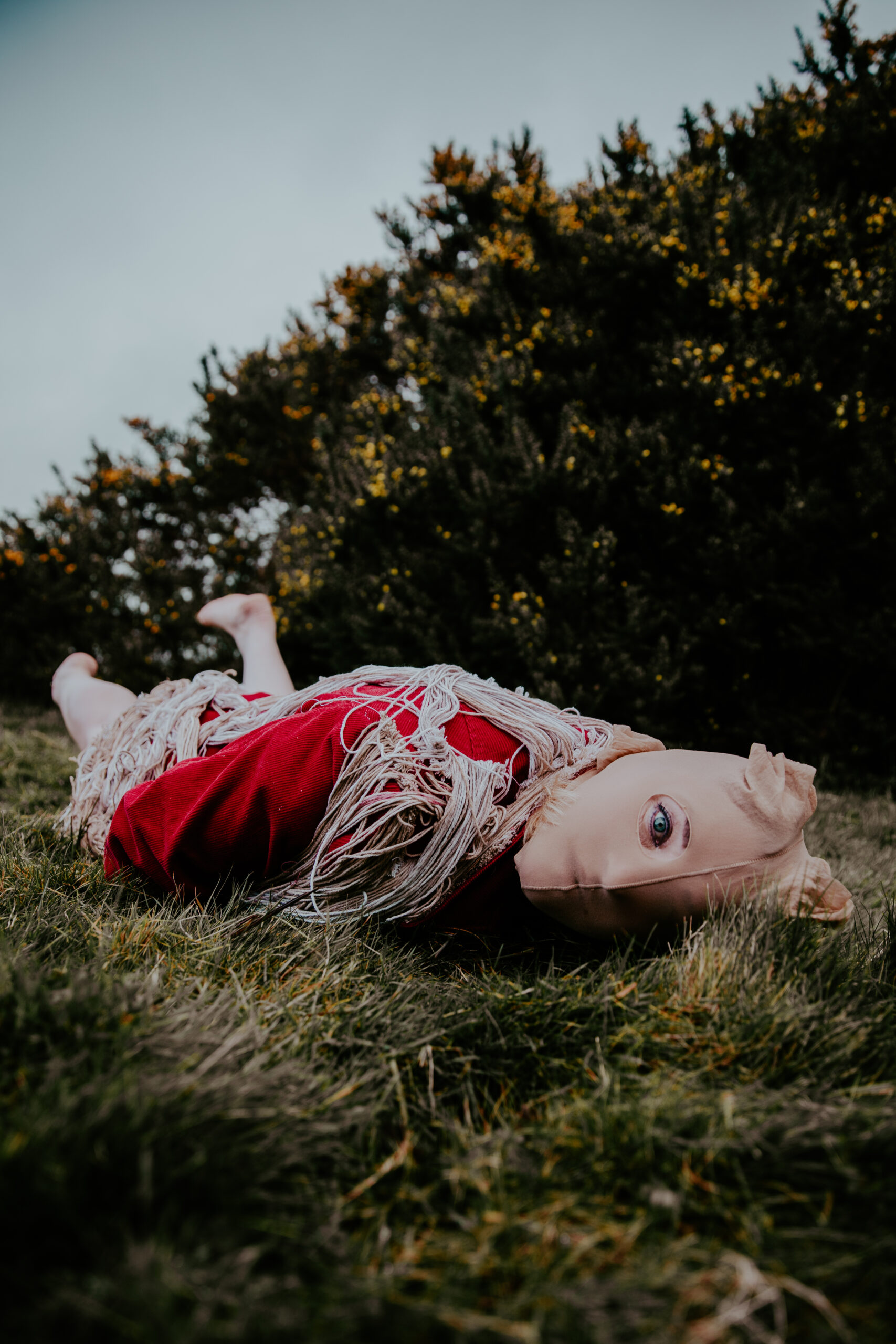 Amanda Coogan: They Come Then, The Birds - Creative Ireland Programme