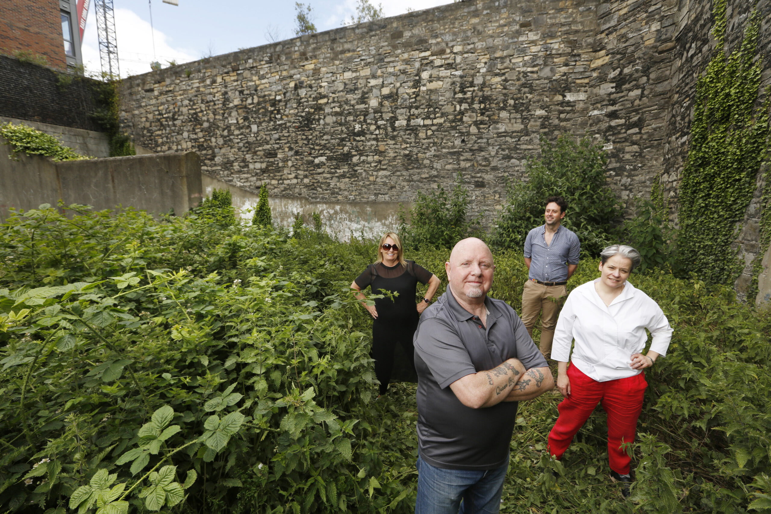 Irish Architecture Foundation: Reimagine Projects - Creative Ireland ...