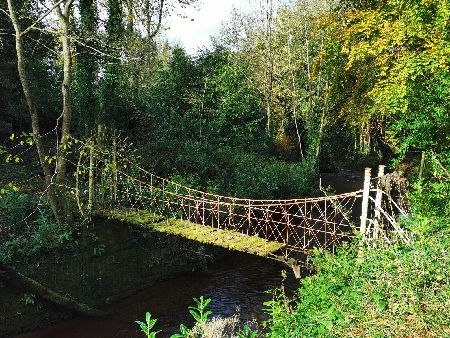 Follies of Offaly - Kinnitty Suspension Bridge - Creative Ireland Programme