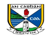 Kingspan Breffni Park Mural - Artistic representation of 100 years of ...