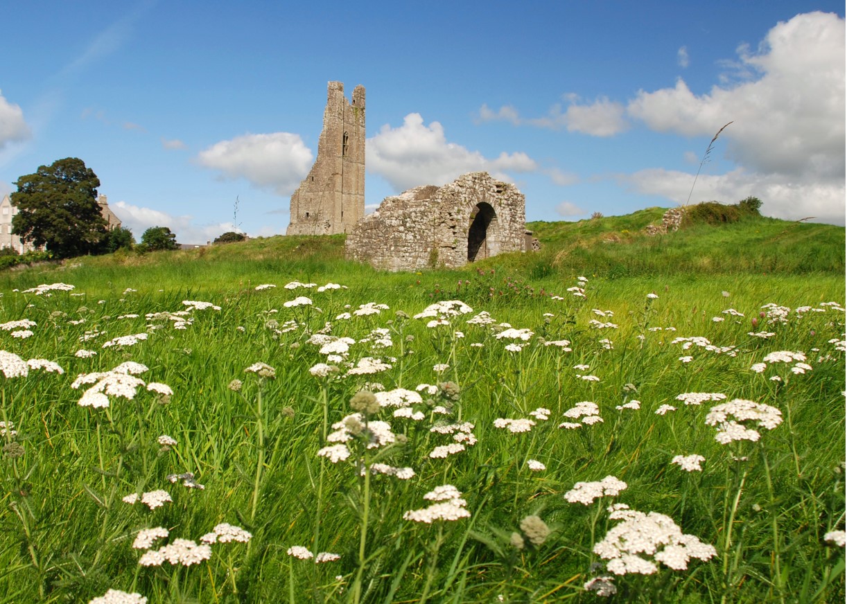 Meath County Council Community Heritage Grant Scheme 2021 - Creative ...