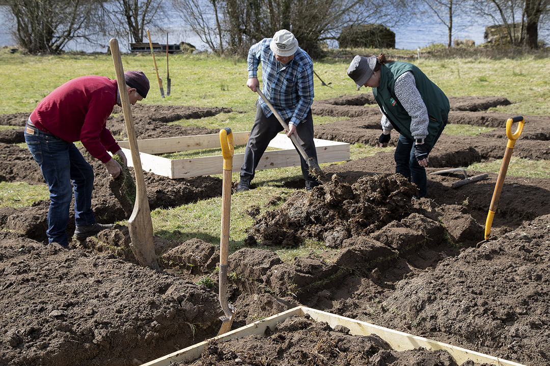Creative Climate Action: Field Exchange - Creative Ireland Programme