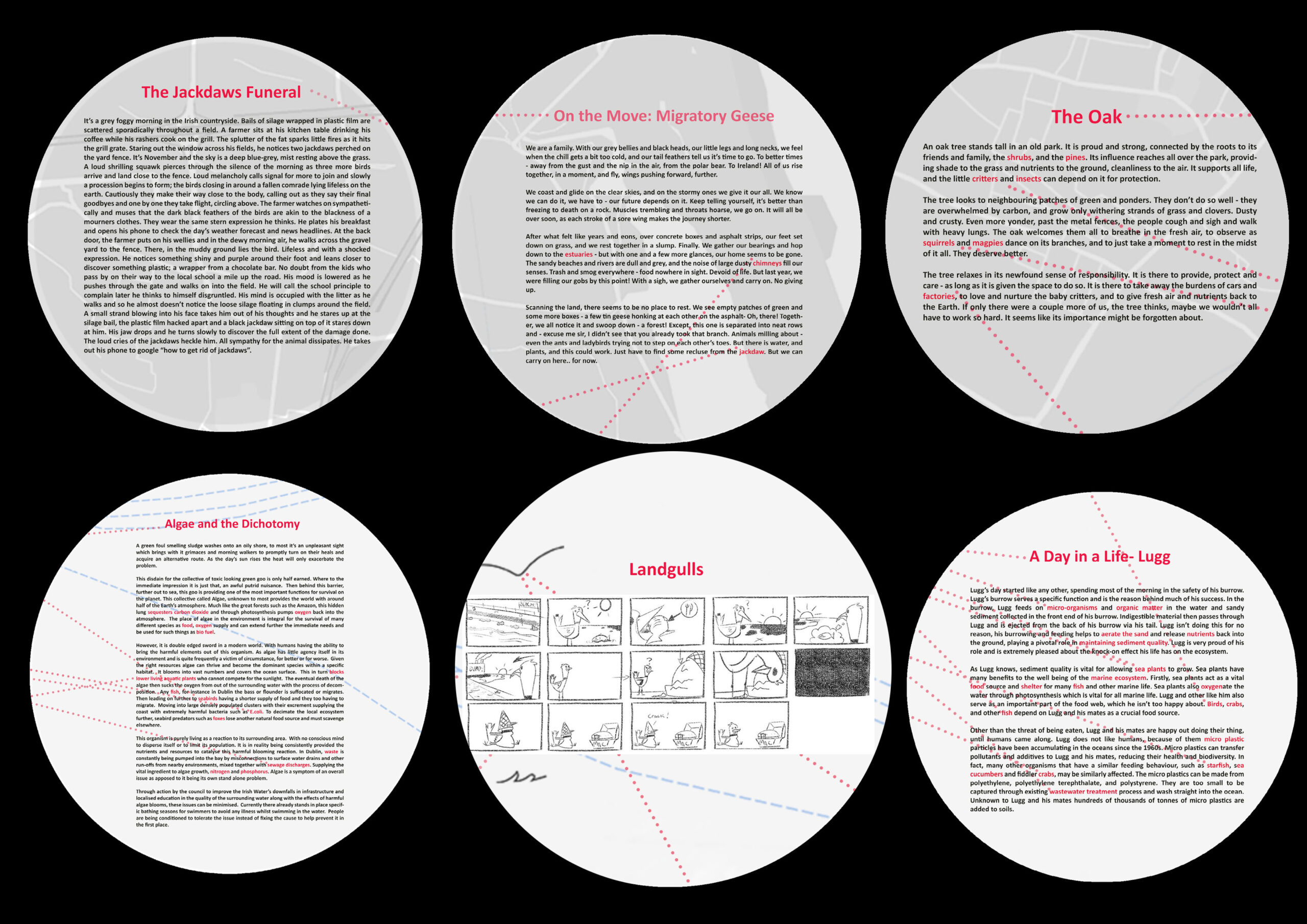 Stories for our Environment - Creative Ireland Programme