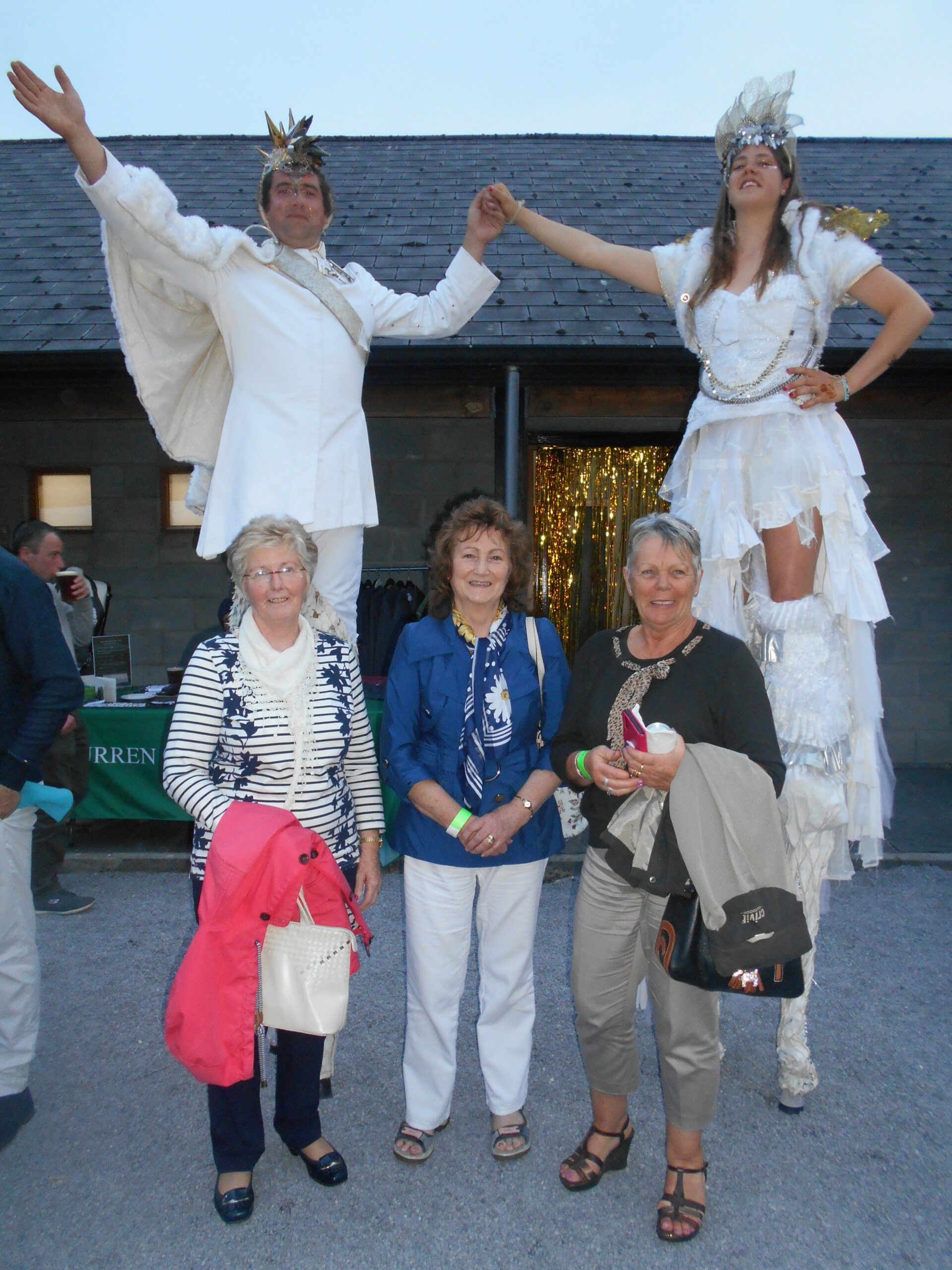 Cultural Companions - Creative Ireland Programme