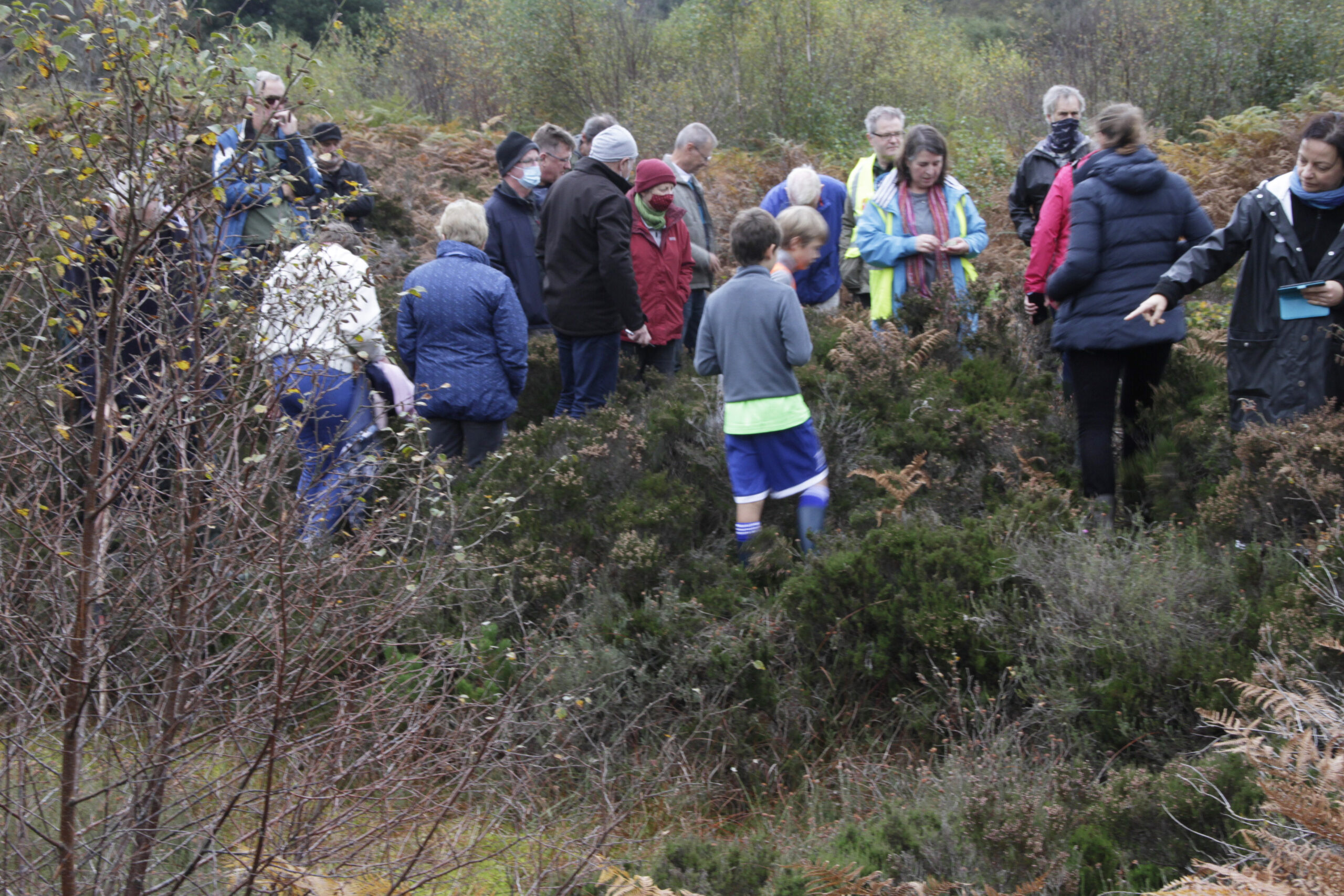 Carlow - Creative Ireland Programme