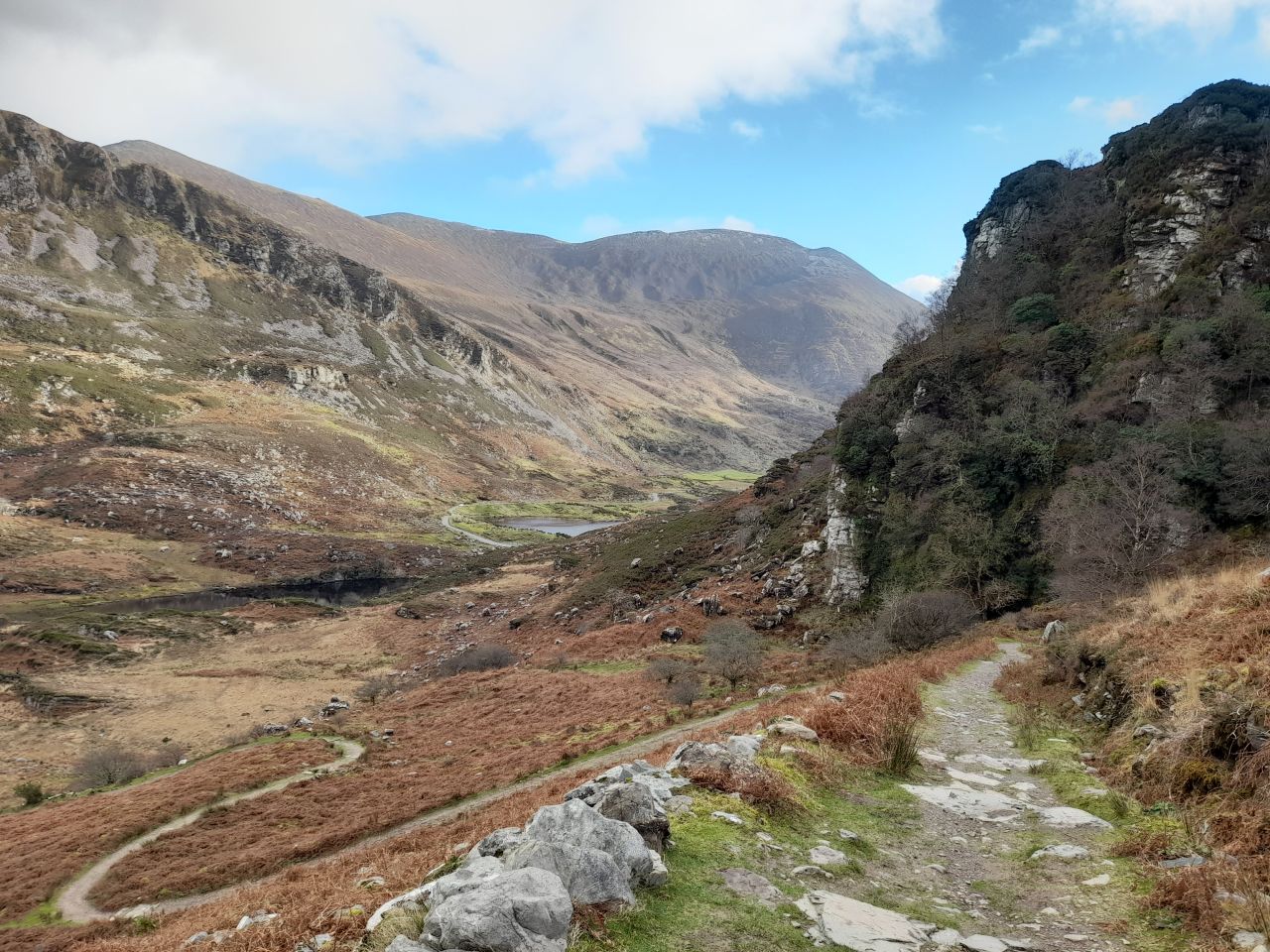 Birds of the Kerry Biosphere - Creative Ireland Programme