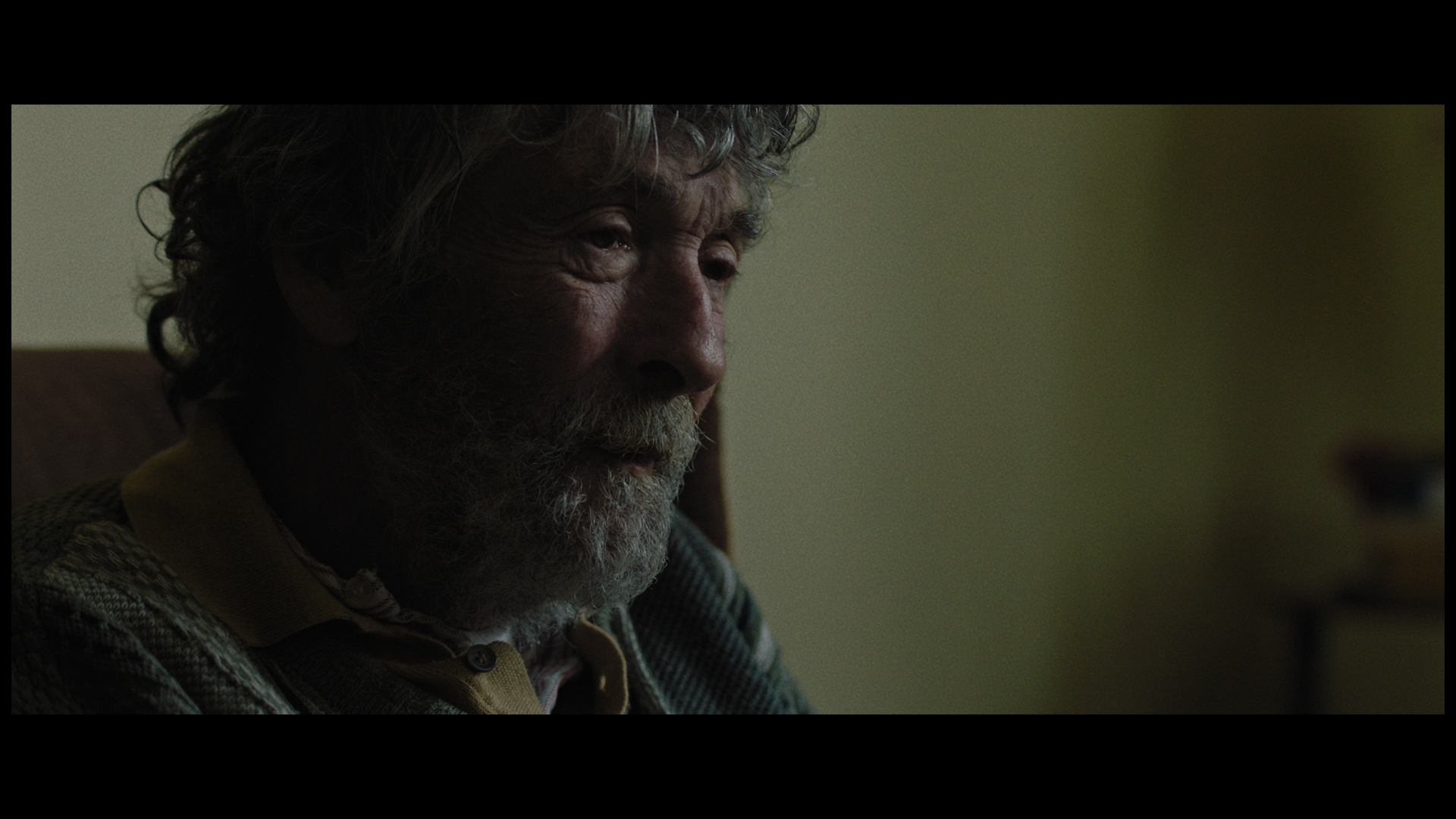 South Dublin Short Film Showcase - Creative Ireland Programme