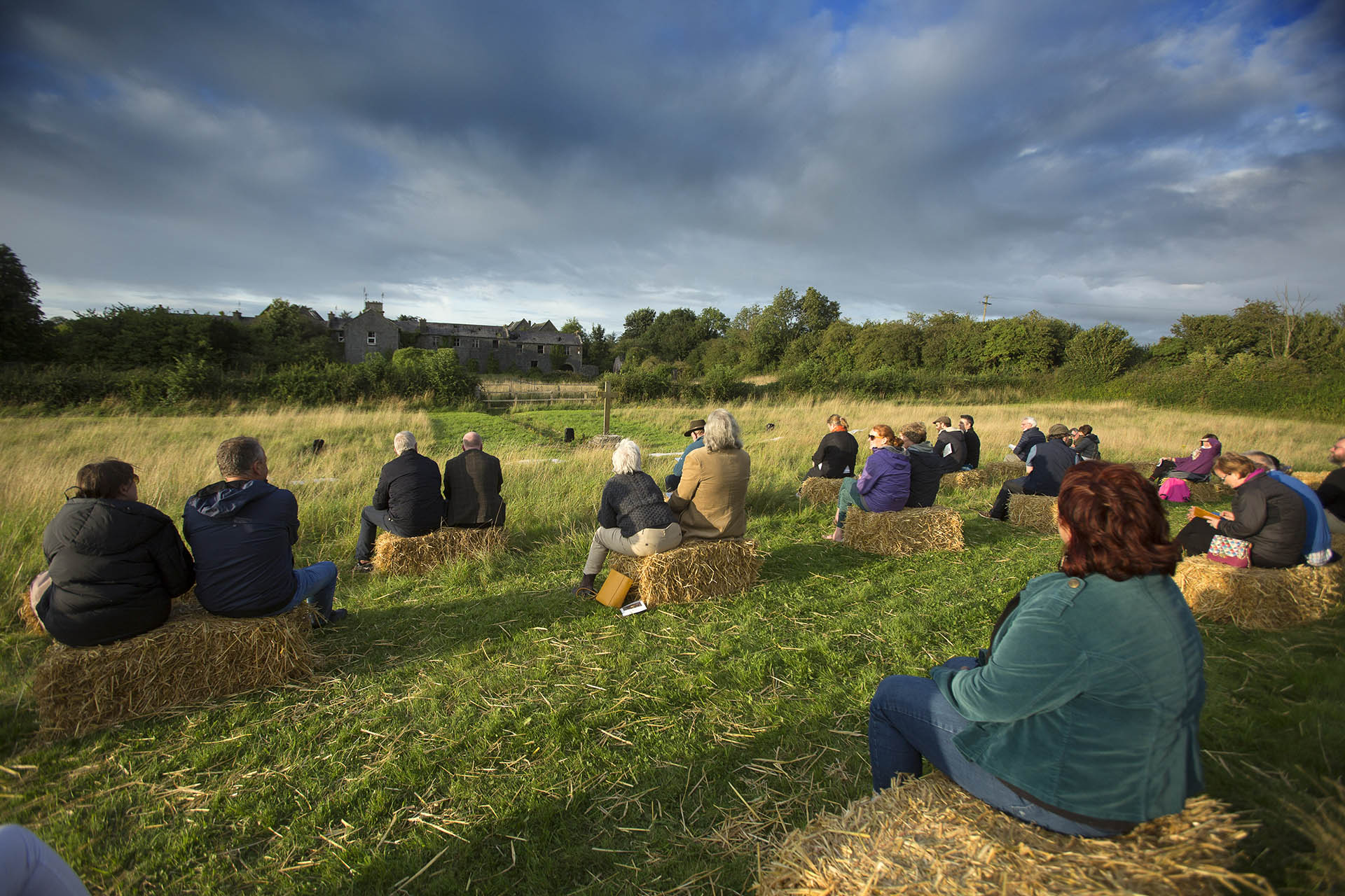 The Meadow Project - Creative Ireland Programme