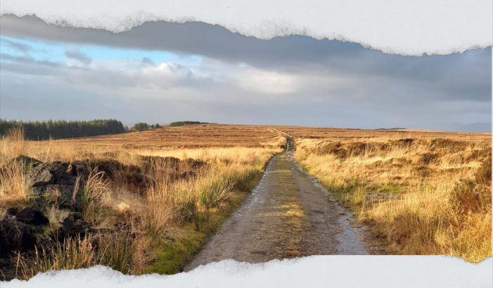 Bród as ár bPortach / Pride in our Peatland - Creative Ireland Programme