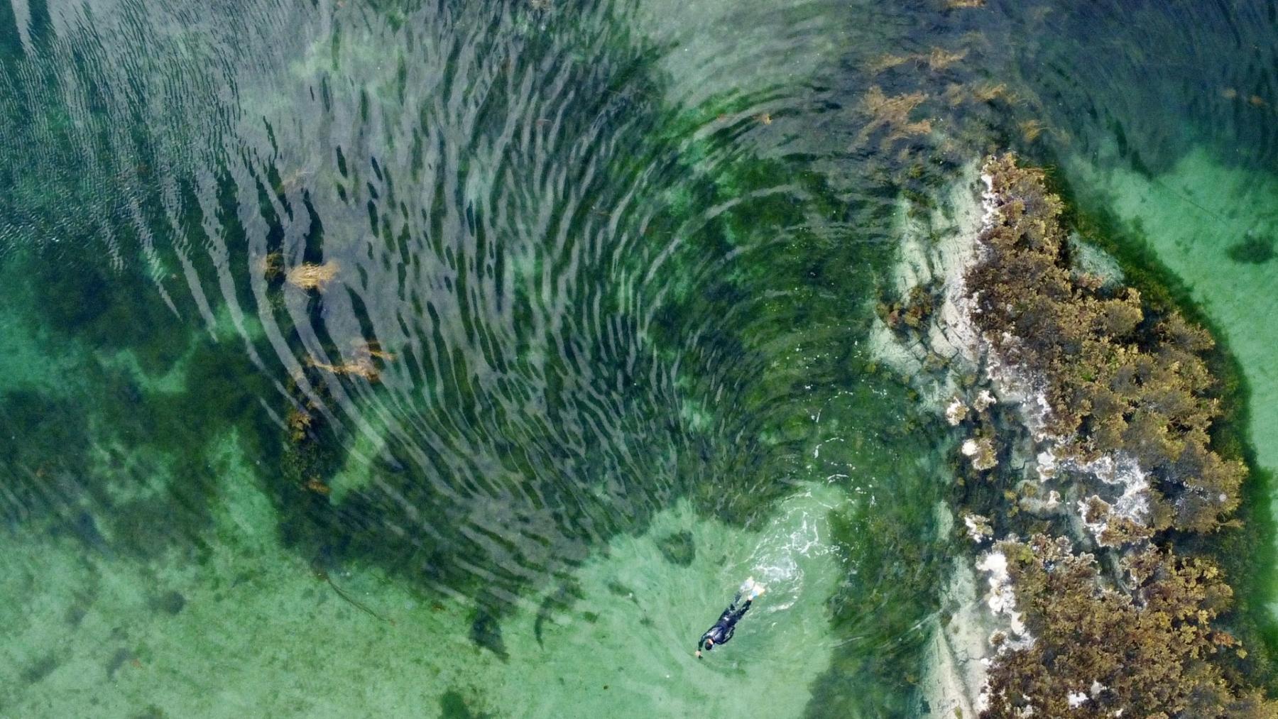 Take Me To The River - An educational public art project engaging with ...