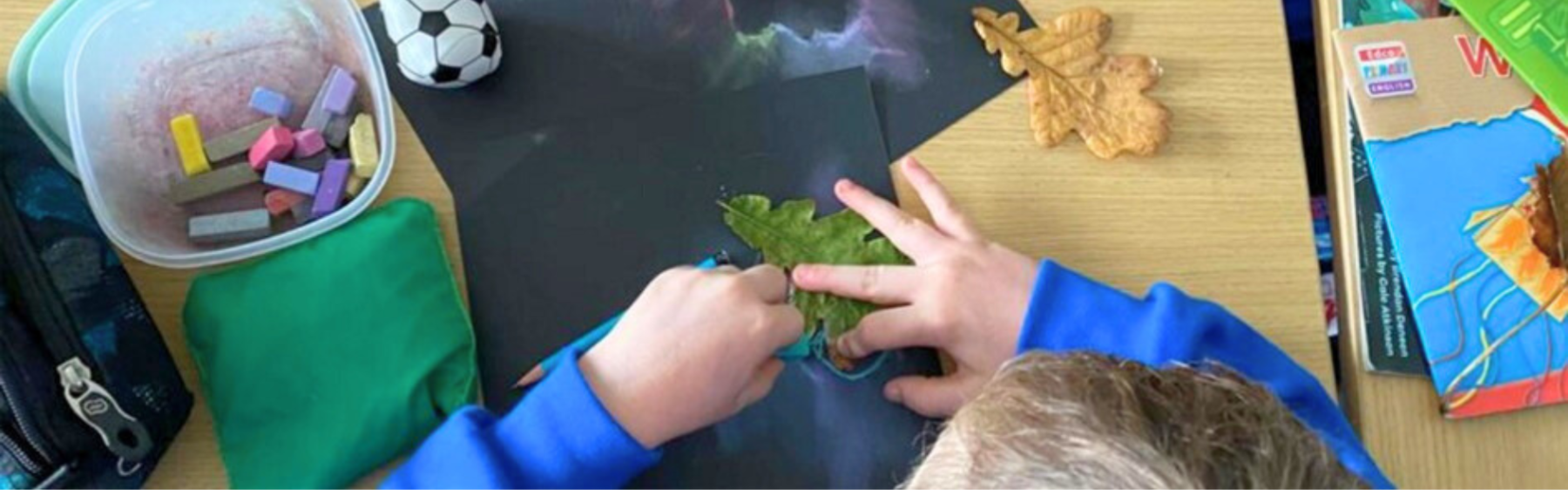 Clare Schools Biodiversity Programme - Creative Ireland Programme