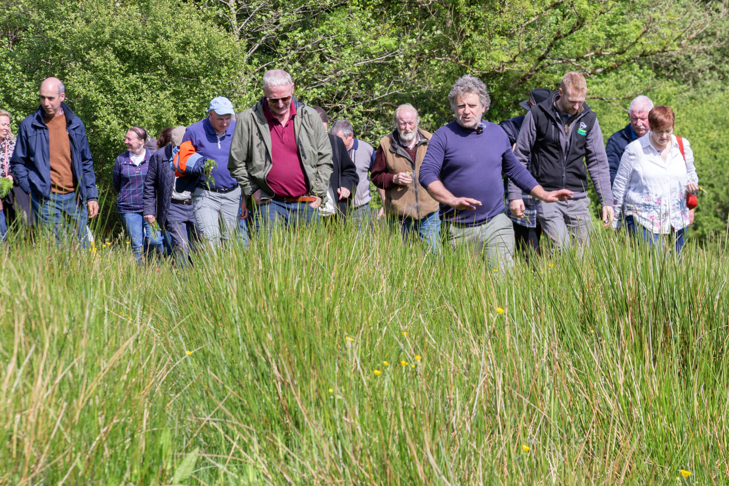 Farm Walks - Creative Communities on a Shared Island - Creative Ireland ...
