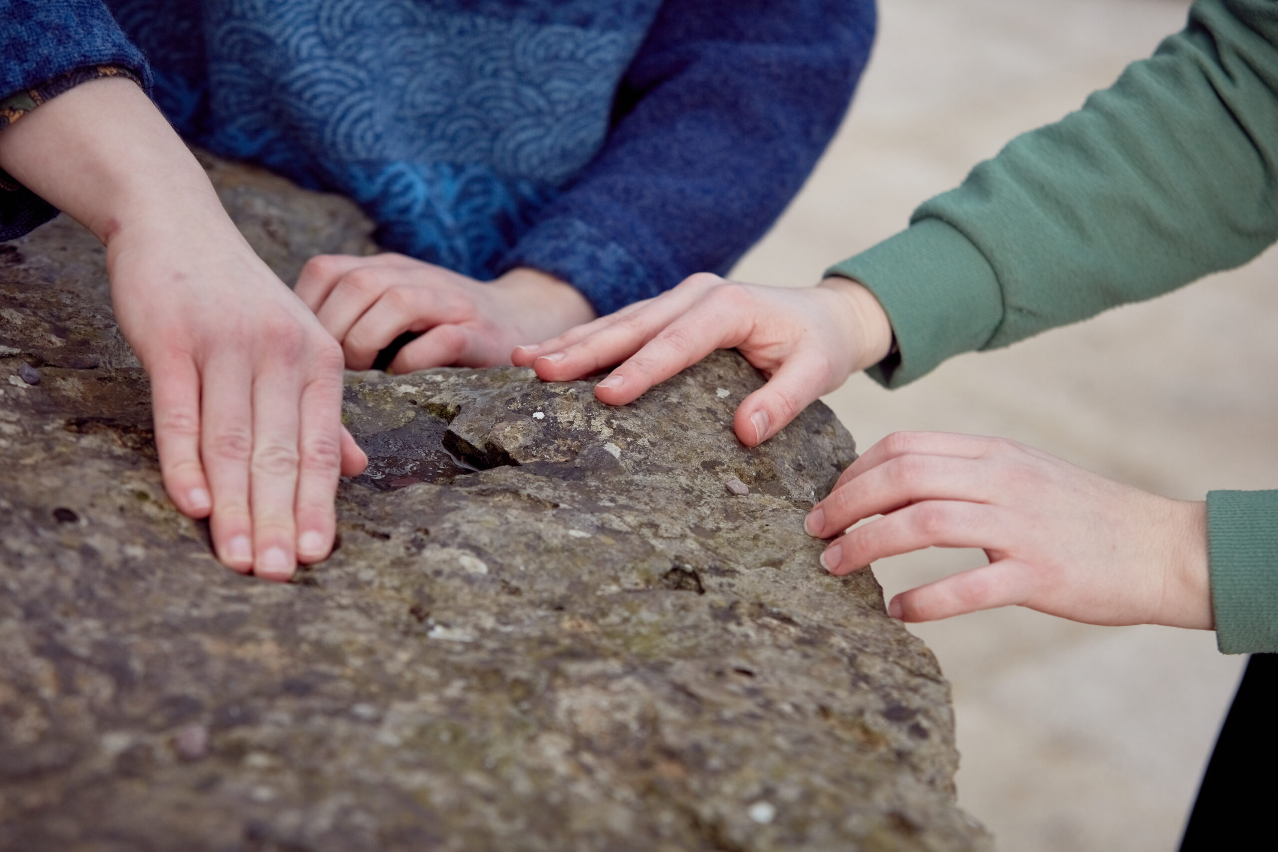 Dance Limerick - Creating a Climate for Change, Final Report - Creative ...