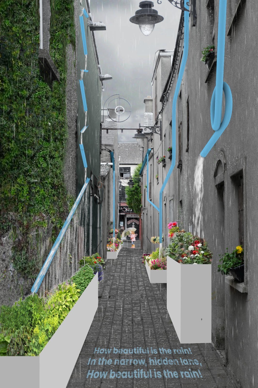 Cascade: Reimagining Ballina’s Laneways for Climate and Community ...